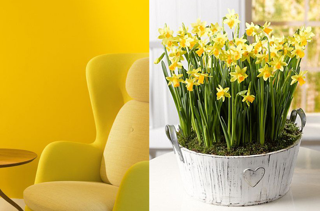 primavera Design_Time_OhMyDesign-2-1024x675 - Architettura e design a Roma