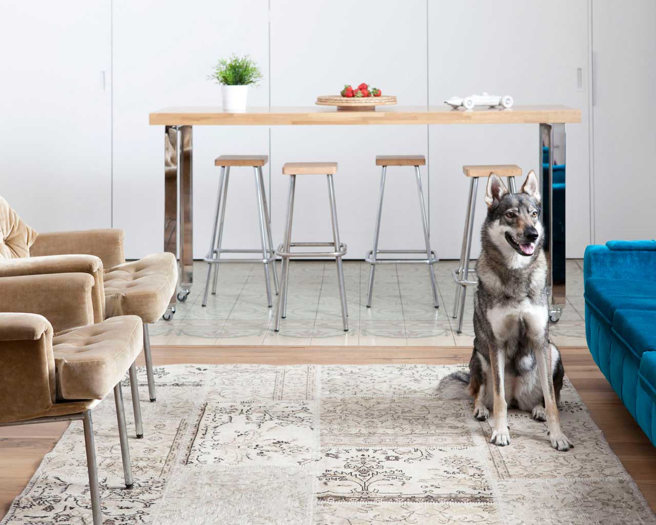 spettacolare-appartamento-bel-cane – Architettura e design a Roma